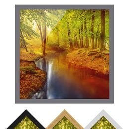 Bilderwelten Bild mit Rahmen - Quadrat Herbstwald