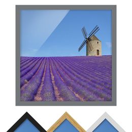 Bilderwelten Bild mit Rahmen - Quadrat Lavendelduft in der Provence