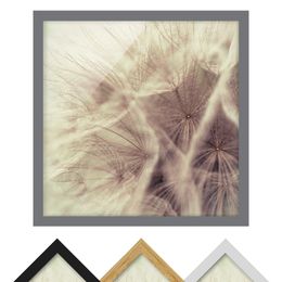 Bilderwelten Bild mit Rahmen - Quadrat Detailreiche Pusteblumen Makroaufnahme mit Vintage Blur Effekt