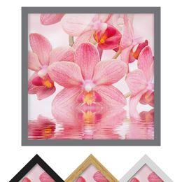 Bilderwelten Bild mit Rahmen - Quadrat Rosa Orchideen auf Wasser