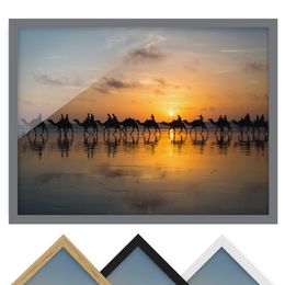 Bilderwelten Bild mit Rahmen - Querformat Kamele im Sonnenuntergang