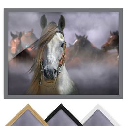 Bilderwelten Bild mit Rahmen - Querformat Horses in the Dust