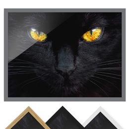 Bilderwelten Bild mit Rahmen - Querformat Hypnotischer Blick