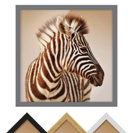 Bilderwelten Bild mit Rahmen - Quadrat Zebra Baby Portrait
