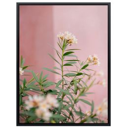 Bilderwelten Leinwandbild Sanfte Bl&uuml;ten vor Pink