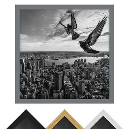 Bilderwelten Bild mit Rahmen - Quadrat Tauben auf dem Empire State Building