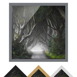 Bilderwelten Bild mit Rahmen - Quadrat Wald in Nordirland
