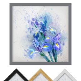 Bilderwelten Bild mit Rahmen - Quadrat Aquarell Blumen Iris