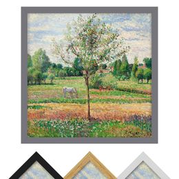 Bilderwelten Bild mit Rahmen - Quadrat Camille Pissarro - Wiese mit Schimmel