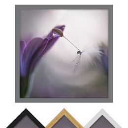 Bilderwelten Bild mit Rahmen - Quadrat Purple Rain