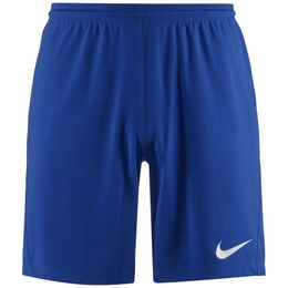 Nike Workout Pants 'Park III' male Blue size S