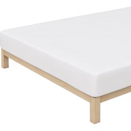 Schlafgut Spannbettlaken &raquo;Premium&laquo; Zero Waste Verpackung, PREMIUM Qualit&auml;t full-white Obermaterial: 95% Baumwolle, 5% Elasthan