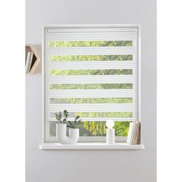 my home Doppelrollo &raquo;TIMELI&laquo; Lichtschutz Sichtschutz ohne Bohren freih&auml;ngend Klemmfix-Doppelrollo, NEUHEIT! wei&szlig; Polyester