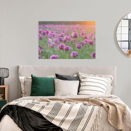 Bilderwelten Leinwandbild Blumen Motiv Kunstdruck violett - Violette Schlafmohn Blumenwiese im Fr&uuml;hling - Blumenwiese XXL Wohnzimmer Schlafzimmer
