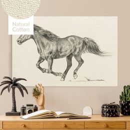 Bilderwelten Leinwandbild - Querformat Wildpferd-Studie - Stute