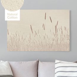 Bilderwelten Leinwandbild Sommerliches Schilfgras