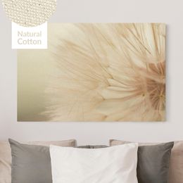Leinwandbild Weiche Pusteblume