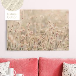 Bilderwelten Leinwandbild Strahlende Blumenwiese