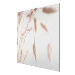 Bilderwelten Alu Dibond Outdoor Bild Blumen beige Landhaus wetterfest - Zartes Glanzgras - Gr&auml;ser Wohnzimmer Schlafzimmer