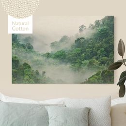 Bilderwelten Leinwandbild - Querformat Dschungel im Nebel
