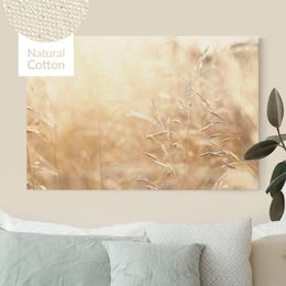 Bilderwelten Leinwandbild Gr&auml;ser im Sonnenschein