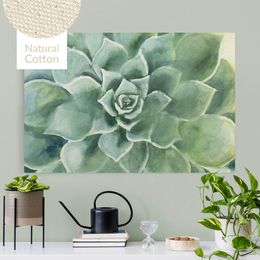 Bilderwelten Leinwandbild - Querformat Sukkulente Aquarell Dunkel