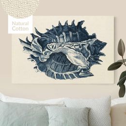 Bilderwelten Leinwandbild - Querformat Strandgut in Navy I