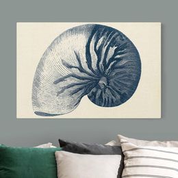 Bilderwelten Leinwandbild - Querformat Strandgut in Navy V