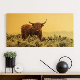Leinwandbild Tiere Bison in den Highlands