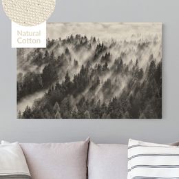 Bilderwelten Leinwandbild - Querformat Lichtstrahlen im Nadelwald