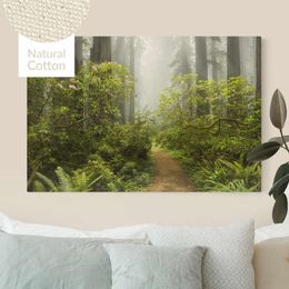 Bilderwelten Leinwandbild - Querformat Nebliger Waldpfad