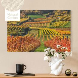 Bilderwelten Leinwandbild - Querformat Weinberg Blick