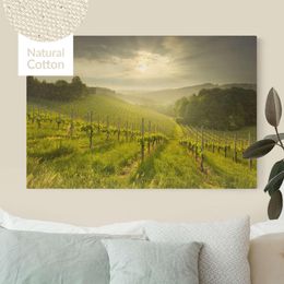 Bilderwelten Leinwandbild - Querformat Sonnenstrahlen Weinberg