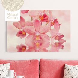Bilderwelten Leinwandbild - Querformat Rosa Orchideen auf Wasser