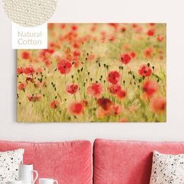 Bilderwelten Leinwandbild - Querformat Summer Poppies