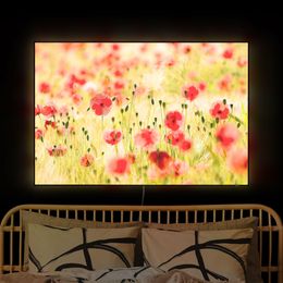 Bilderwelten LED-Wechselbild Summer Poppies