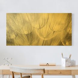 Bilderwelten Leinwandbild - Querformat Pusteblumen Makroaufnahme in schwarz weiss