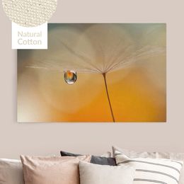 Bilderwelten Leinwandbild - Querformat Pusteblume in Orange