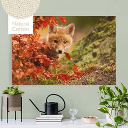 Bilderwelten Leinwandbild - Querformat Fuchs im Herbst