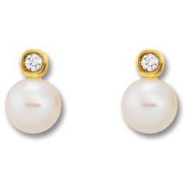 ONE ELEMENT Damen Paar Ohrh&auml;nger "Zirkonia Ohrringe Ohrstecker aus 333 Gelbgold", Damen,mit Zirkonia, Gelbgold 333 Gold Perlen, gold, Gelbgold 333,