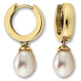 ONE ELEMENT Damen Paar Creolen "Ohrringe Creolen aus 333 Gelbgold", Damen, Gelbgold 333 Gold Perlen, gold, Gelbgold 333, Gold, Perlen, Ohrringe,