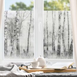 Bilderwelten Fensterfolie Mystischer Birkenwald Schwarz-Weiß - Fensterfolie, Fensteraufkleber Natur Strand Wohnzimmer Schlafzimmer Bad Badezimmer