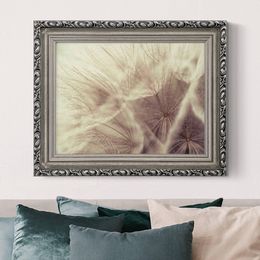 Bilderwelten Leinwandbild mit Barockrahmen Detailreiche Pusteblumen Makroaufnahme mit Vintage Blur Effekt