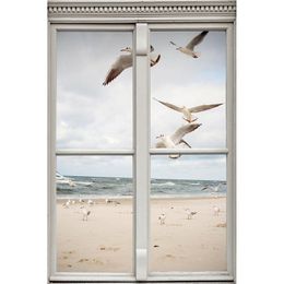queence Wandsticker &raquo;M&ouml;wen am Strand&laquo; Wandsticker, Wandbild, selbstklebend, 3D, Fenster wei&szlig;