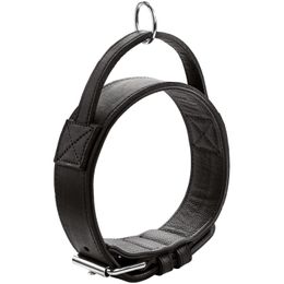 Hunter Trainingshalsband mit Griff Larvik schwarz / 55