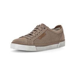 Pius Gabor Sneakers male Brown size 45