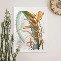 Bilderwelten Leinwandbild Vintage Illustration Tropische Bl&uuml;ten I Leinwanddruck Vintage Tropisch,Botanik Pflanzen,Botanik Blume Wandbild