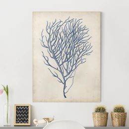 Bilderwelten Leinwandbild Botanik Indigo Koralle III - Leinwanddruck Hochformat - Wandbild S-XXL - moderne Bilder auf Leinwand Wohnzimmer Schlafzimmer