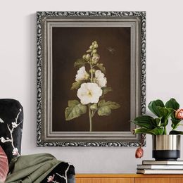 Bilderwelten Leinwandbild mit Barockrahmen Barbara Regina Dietzsch - Stockrose