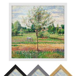 Bilderwelten Bild mit Rahmen - Quadrat Camille Pissarro - Wiese mit Schimmel